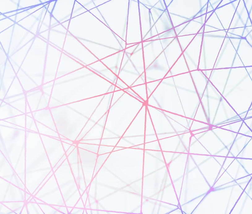 How do the ecosystems work? - Strong Aya